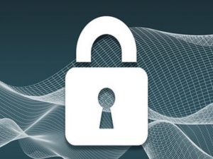 Protect Your Business: Getting to Know the Top Software Threats | Opti-Vise IT